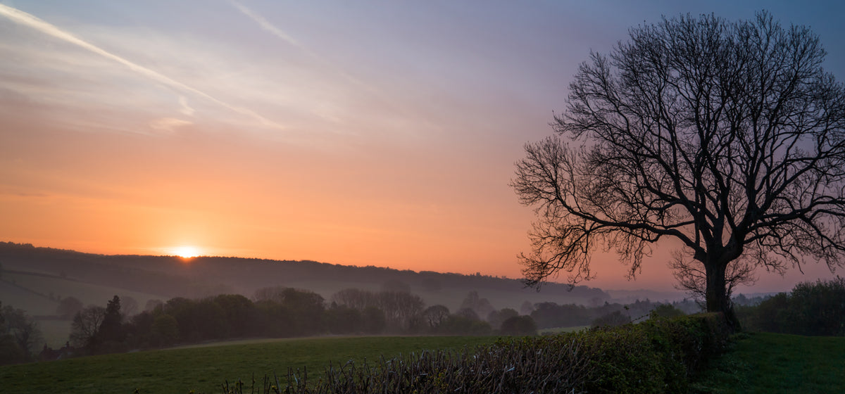 Here to help you with your photography – Andrew Scriven Photography