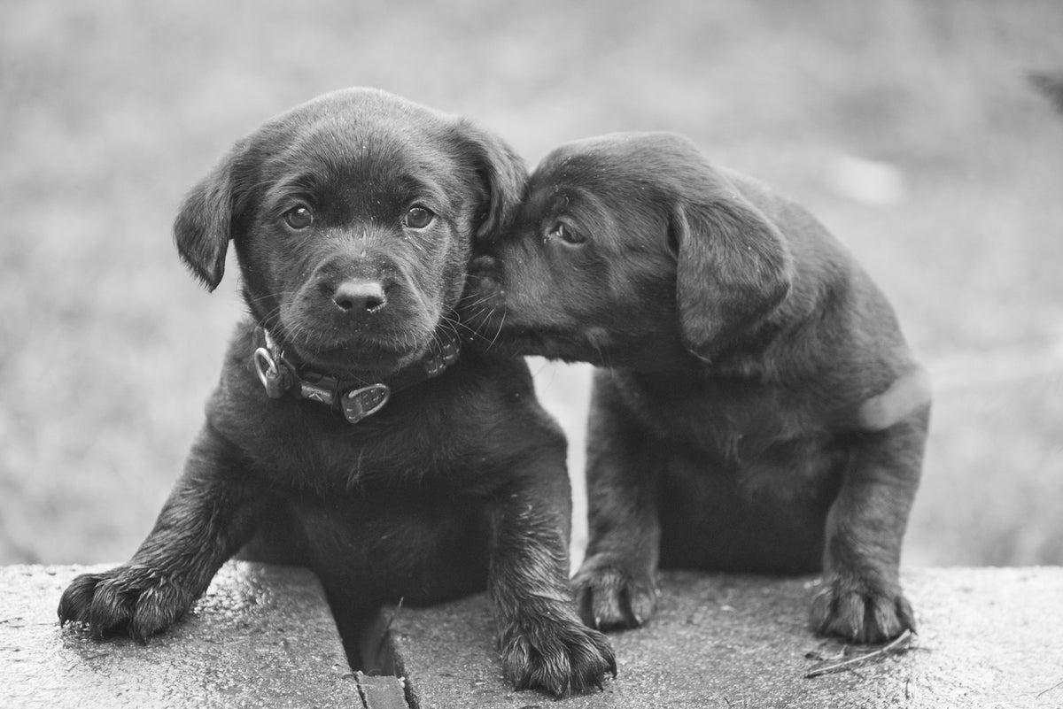 Hey. I love you – Andrew Scriven Photography
