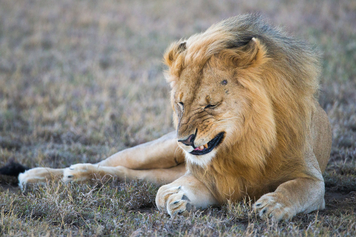 Whats that down there – Andrew Scriven Photography