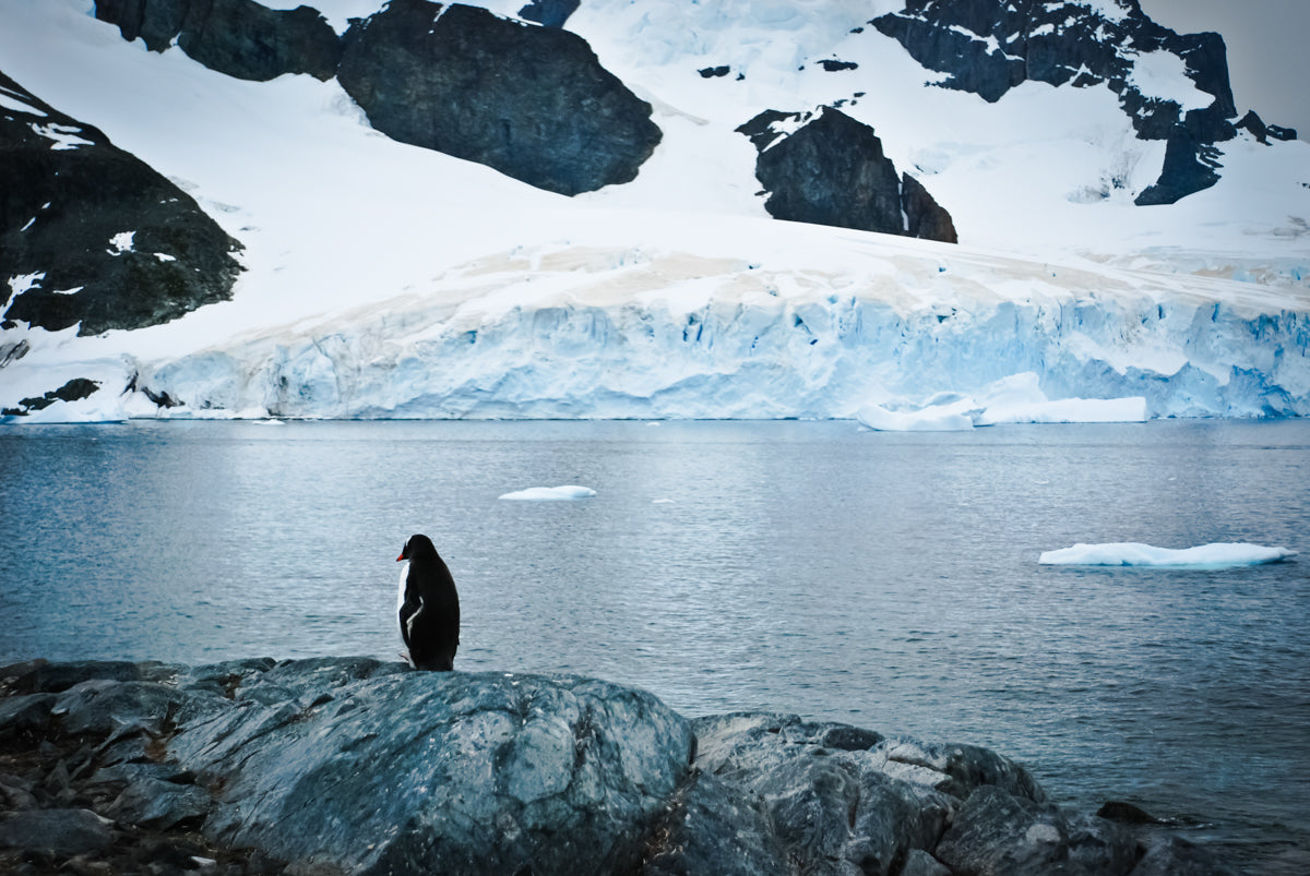 Time away to reflect – Andrew Scriven Photography